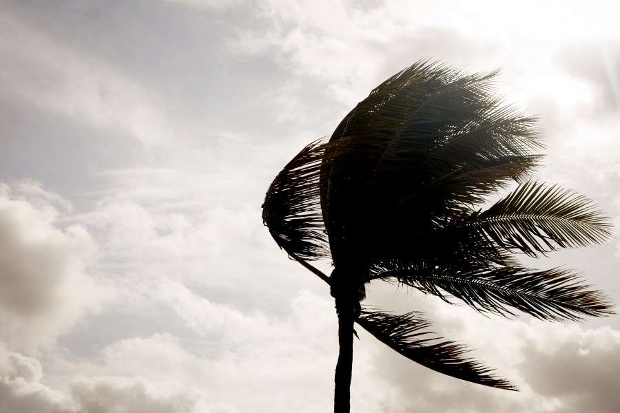 Cool, cloudy and windy weather ahead for San Diego