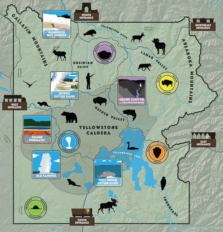 Experts debunk viral claims that animals are fleeing Yellowstone ...