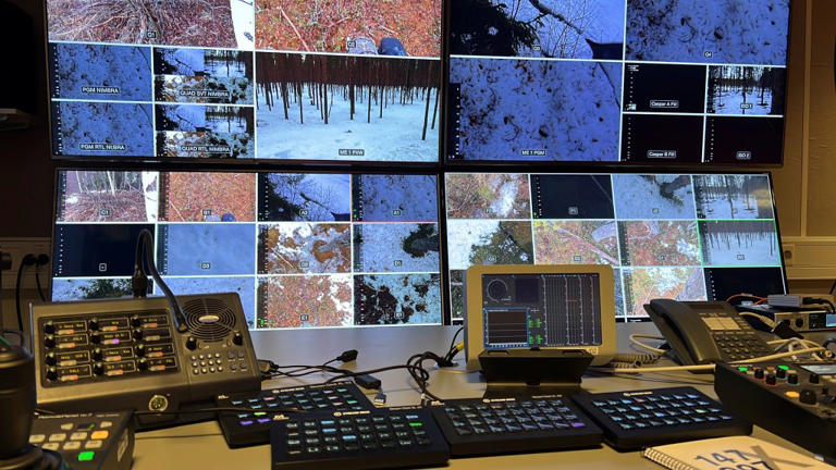 The hottest new reality TV drama is a live stream of migrating Arctic ...