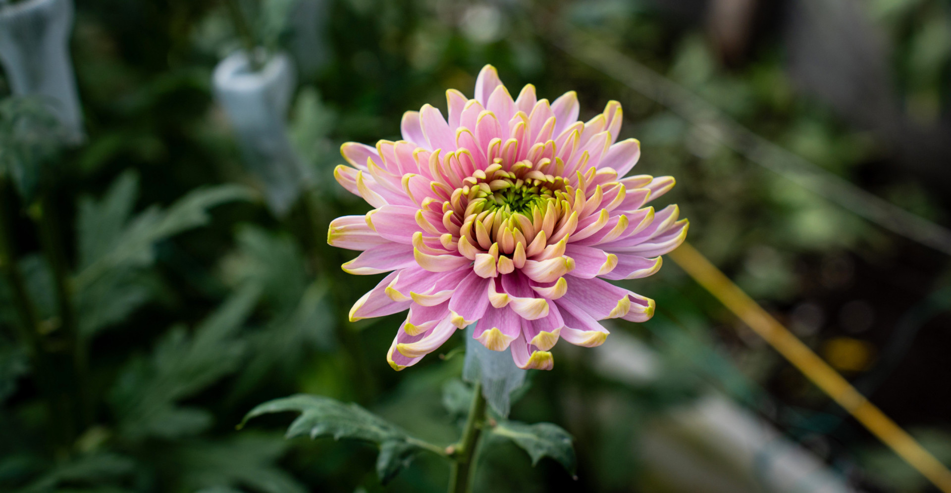 20 Wild Inventions The World Forgot