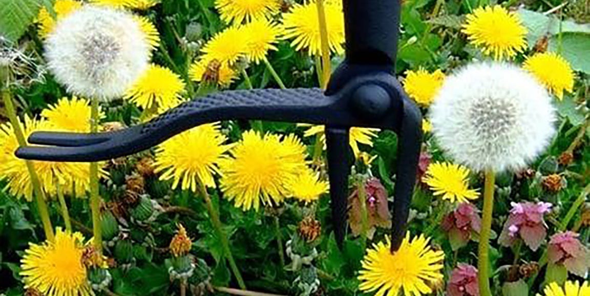 50,000+ Reviewers Swear by Grandpa's Old-School Tool for Pulling Weeds
