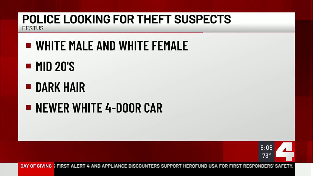 Thieves claim to be tree trimers, steal cash & jewelry