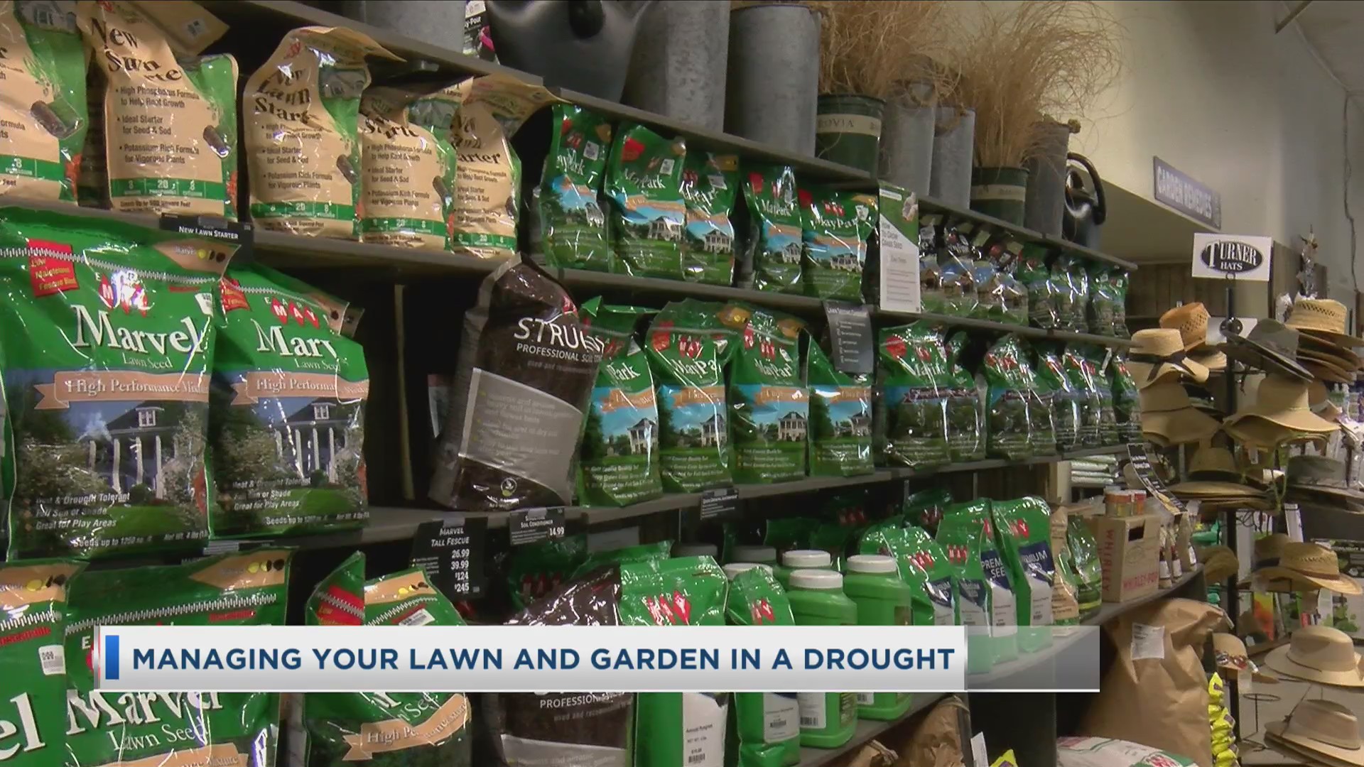 Managing Your Lawn And Garden In A Drought