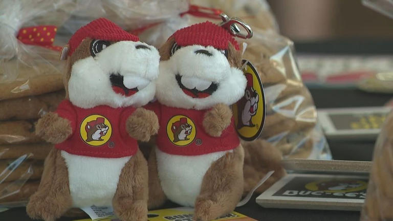 Buc-ee's breaks ground in Saline County, marking Arkansas' first site