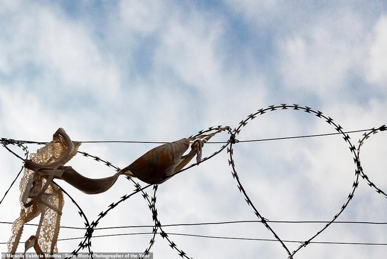 From a powerful Moroccan equestrian performance to a female Peruvian ...