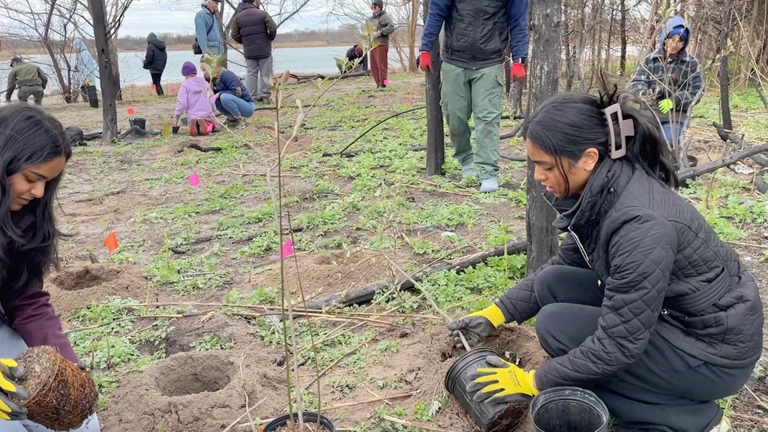 Volunteers hope to reduce wildfire risk in Brooklyn by planting less ...