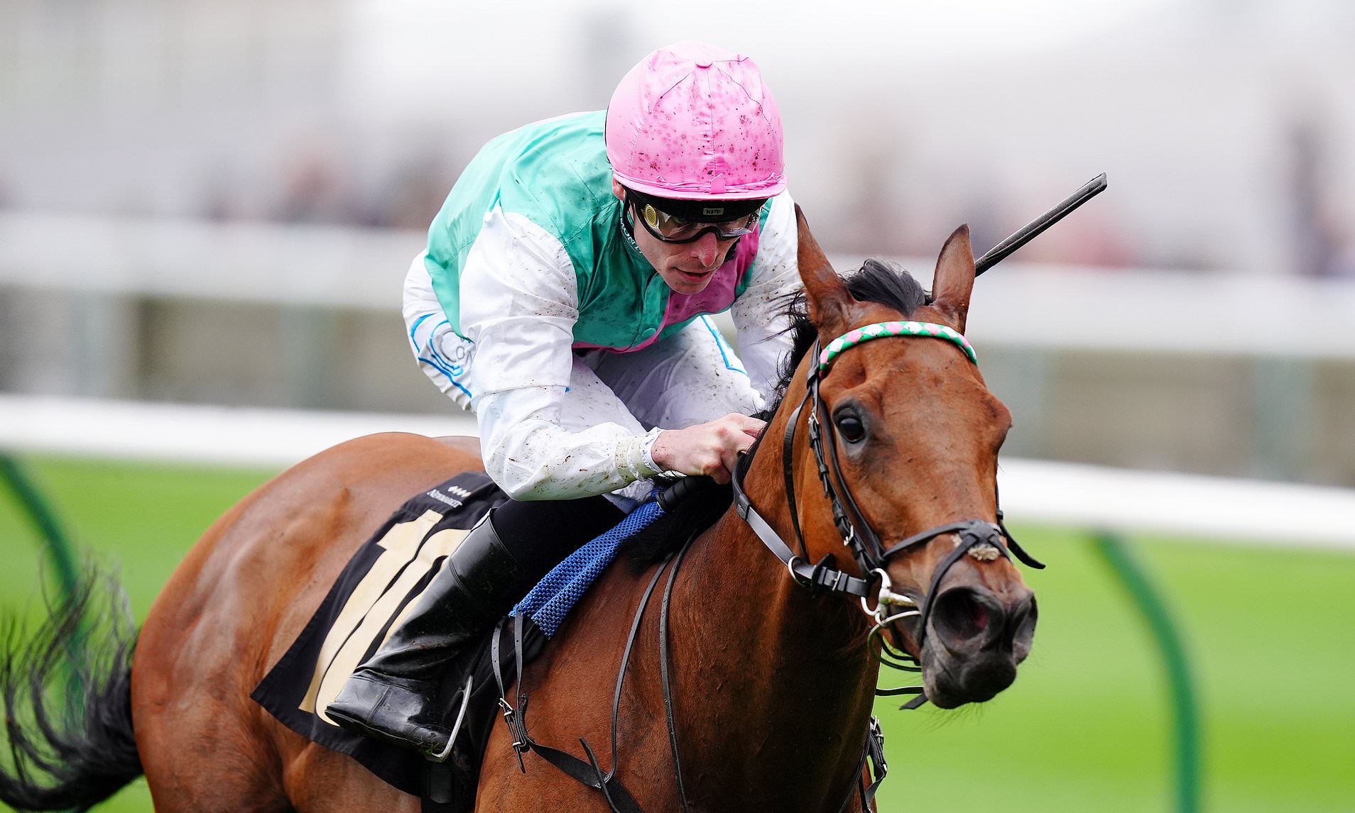 Robin Goodfellow's racing tips: Best bets for Friday, April 18