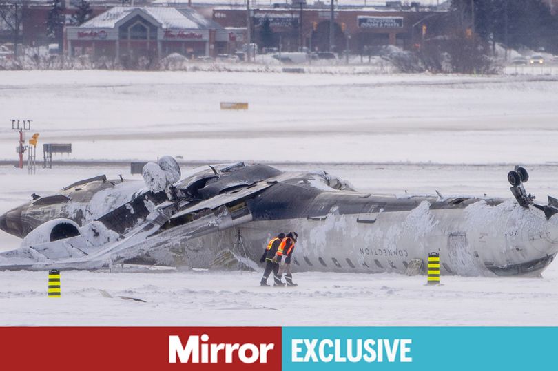 Flight expert says crashes are 'anomalies' and reveals why we will ...