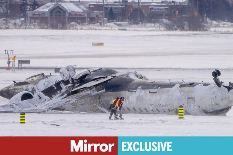 Flight expert says crashes are 'anomalies' and reveals why we will ...