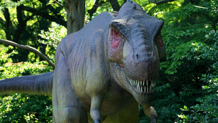 Dino Park Zoo bringing prehistoric creatures to life