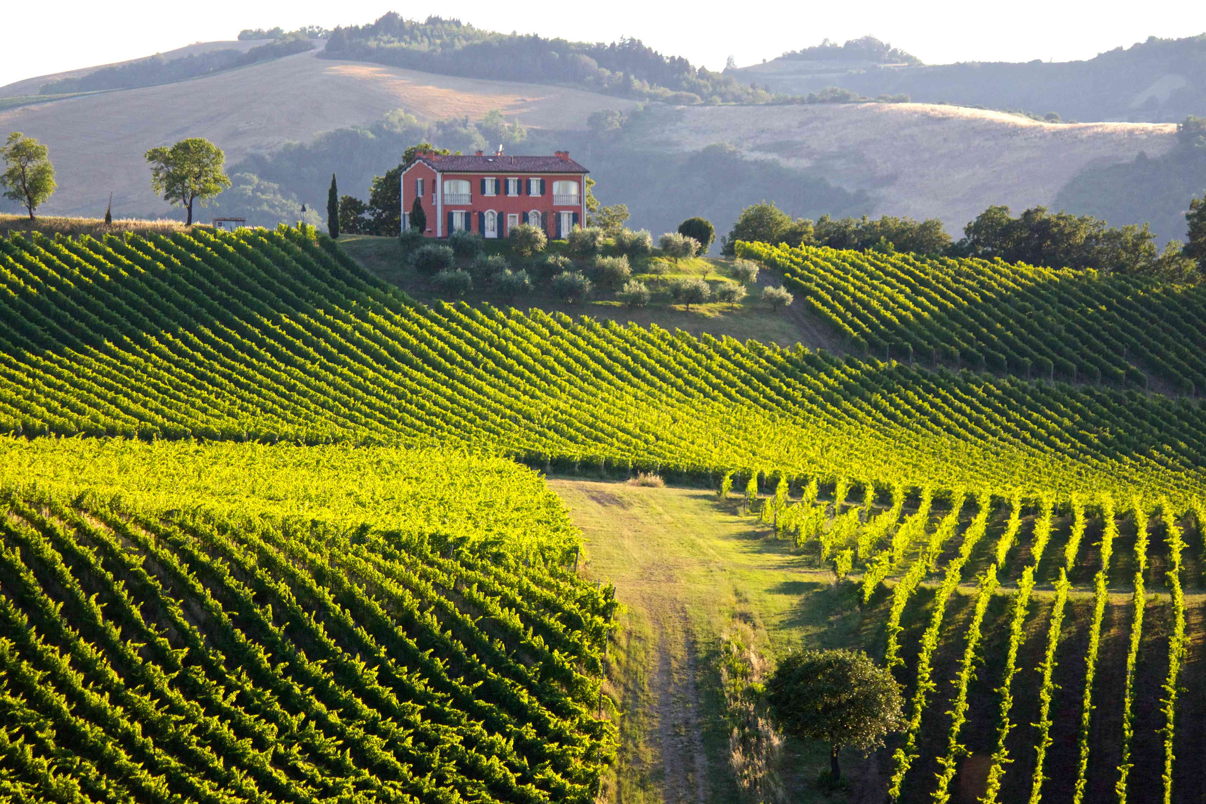 The 12 Best Italian Wineries to Visit Near Milan