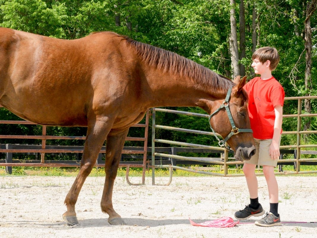 A 'Stable' Force: Manhattan Rescue Farm Seeks Mentors For Foster Kids