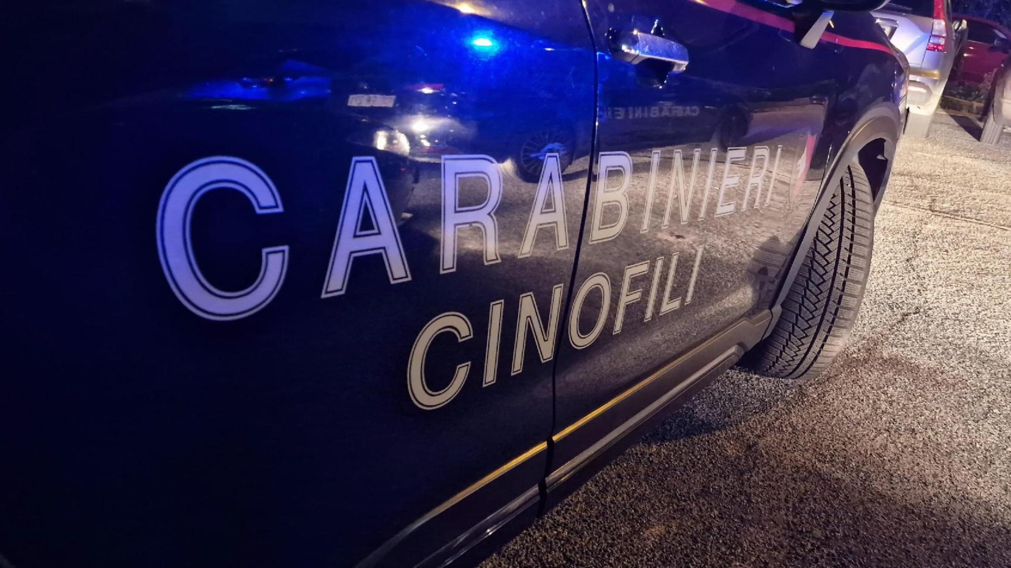 Samarate (Varese), donna di 55 anni uccisa a coltellate davanti casa ...