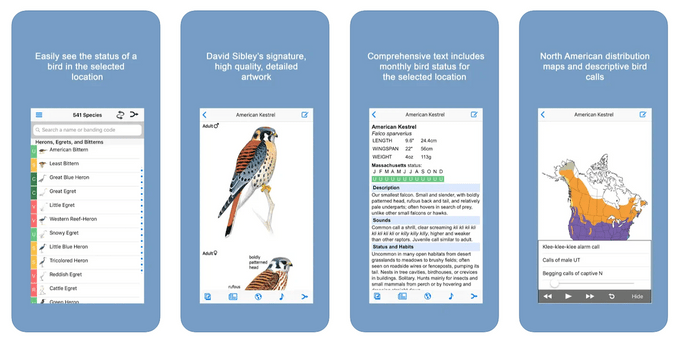 6 Bird Identification Apps to Give Your Skills a Boost