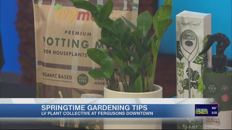 Spring Time Gardening Tips