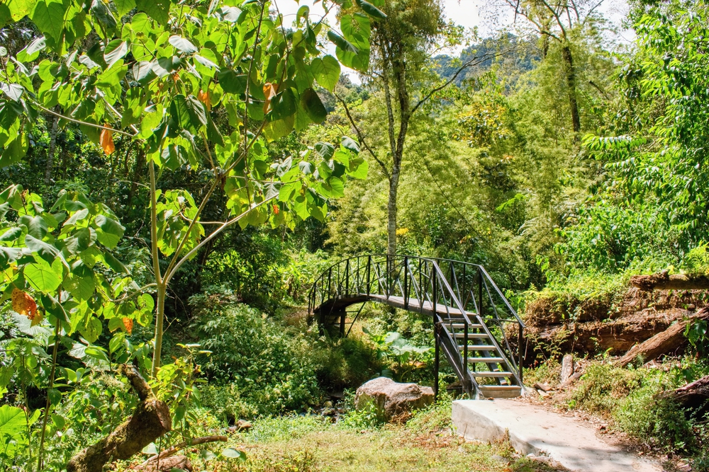 20 Central American Volcano Rim Hikes
