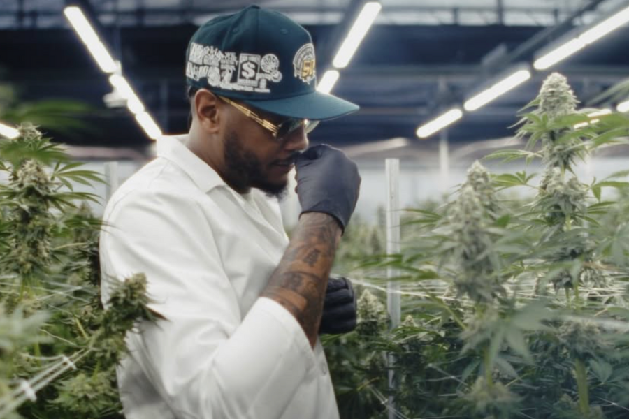 Carmelo Anthony coming to Long Island to promote new cannabis brand