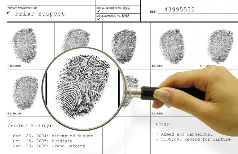 Mauling Pit Bull Owner Identified