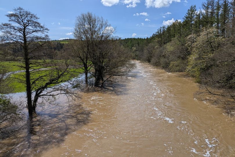 Flood warning and alerts issued as heavy rain continues