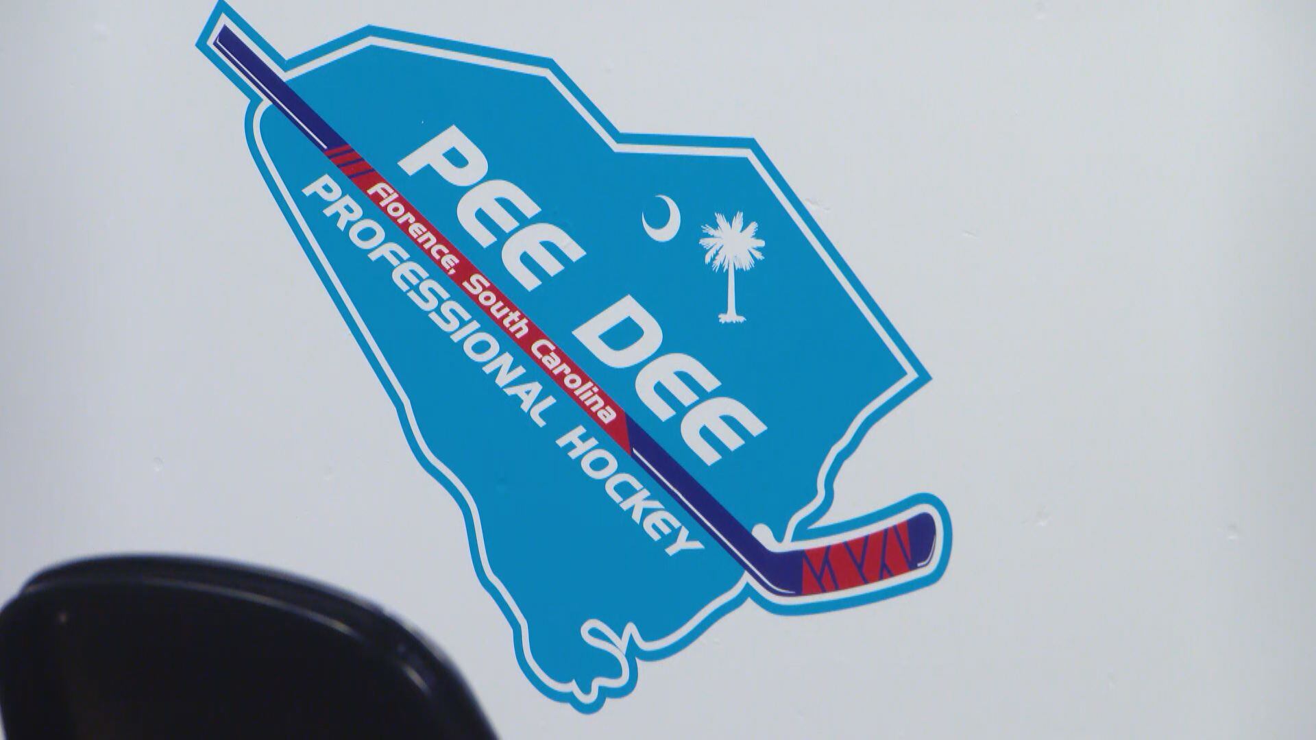 Pee Dee Ice Cats announce date for primary logo reveal