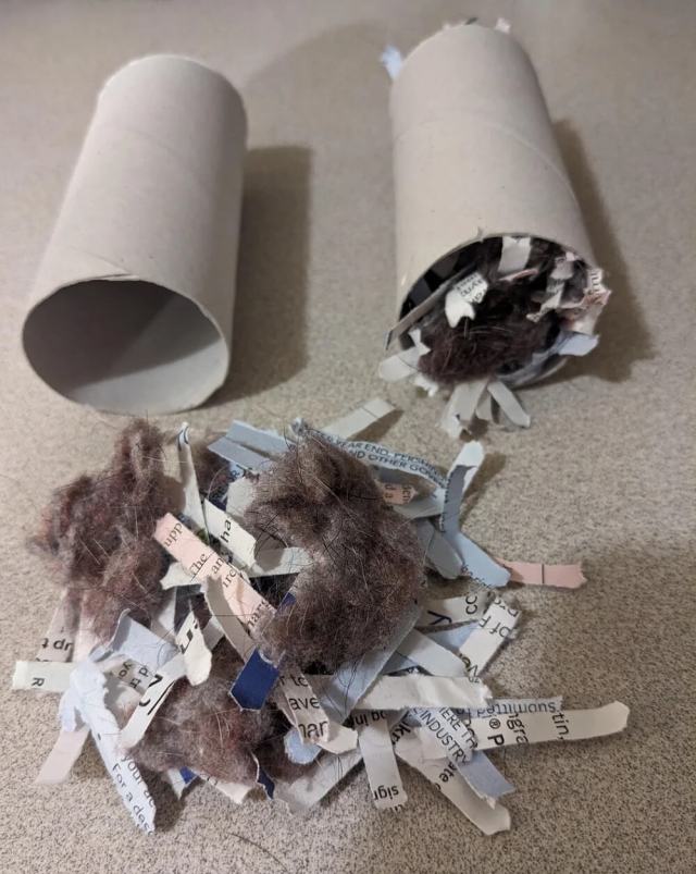 Survival expert shows how toilet paper rolls can be lifesavers in ...