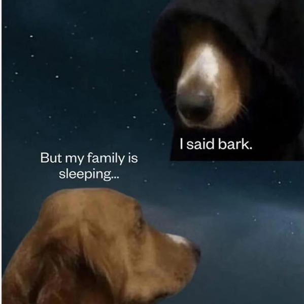 45 Funny Dog Memes That’ll Have You Howling With Laughter (April 16, 2025)