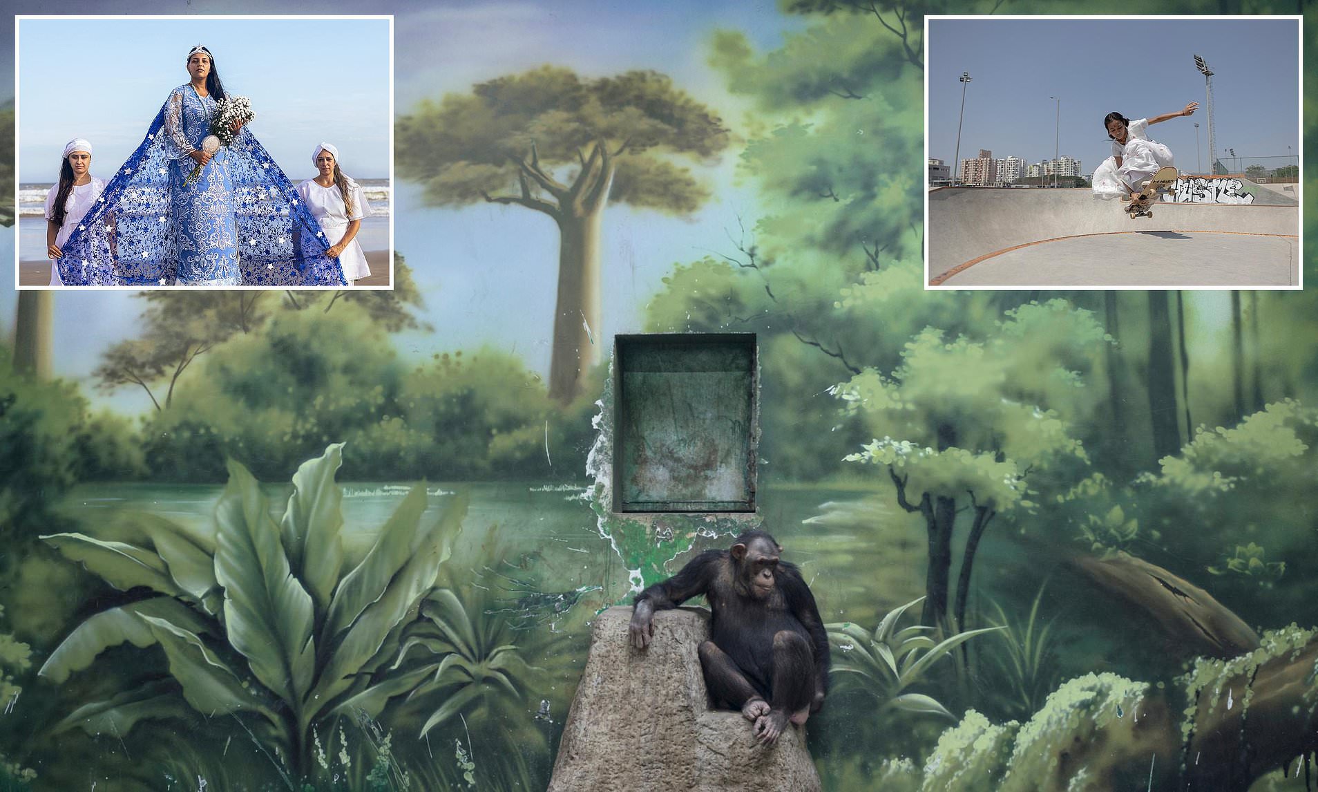 From a powerful Moroccan equestrian performance to a female Peruvian ...