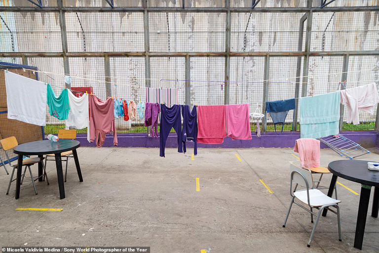 From a powerful Moroccan equestrian performance to a female Peruvian ...