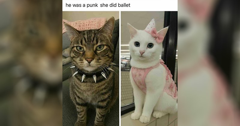 A List of Memes for Inquisitive Minds