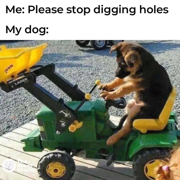 45 Funny Dog Memes That’ll Have You Howling With Laughter (April 16, 2025)