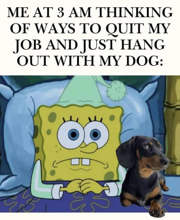 45 Funny Dog Memes That’ll Have You Howling With Laughter (April 16, 2025)