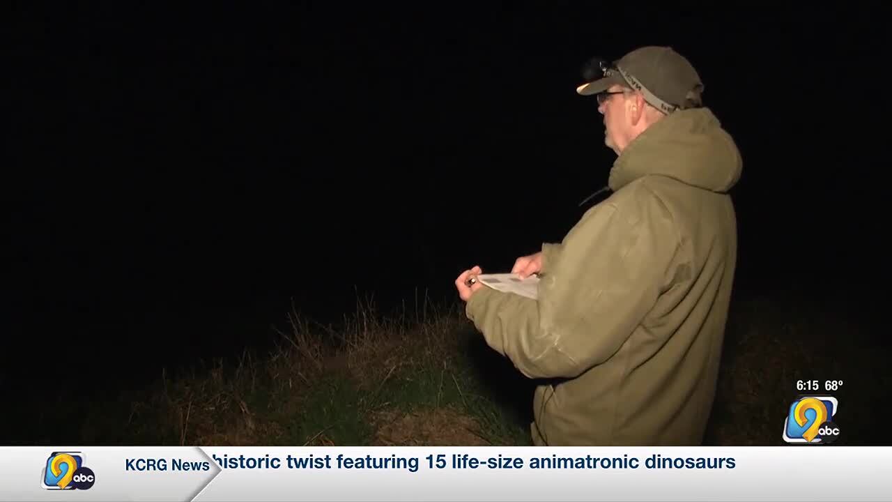 Yearly frog and toad call surveys underway, why it matters