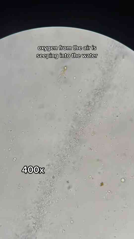 Everyday Objects Under the Microscope – Mind Blown!