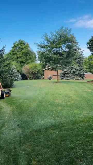 Uneven Lawn? Here’s How to Fix It With One Mow