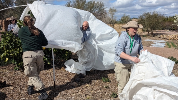 'It's a 360 disaster' | AmeriCorps alumni rally to save national ...