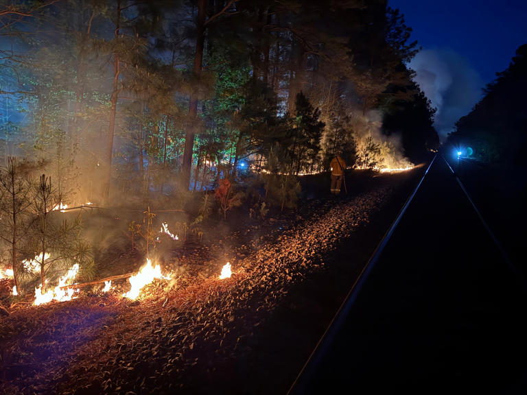 Train sparks brush fires along tracks in Chester