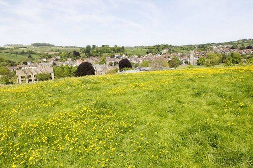 Cotswolds celebs abandon posh countryside and move to Somerset