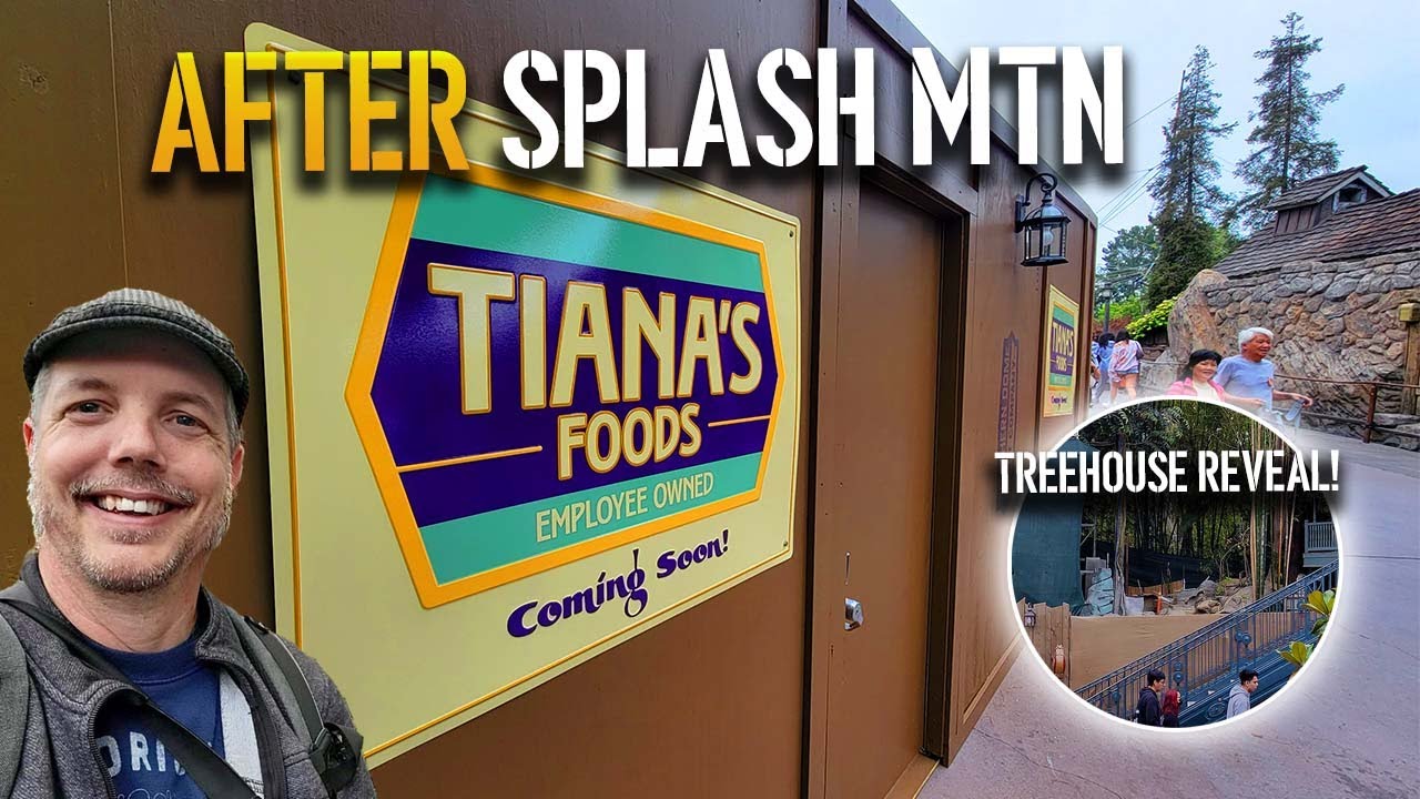 Splash Mountain the Day After + Reveal at Treehouse! Disneyland ...