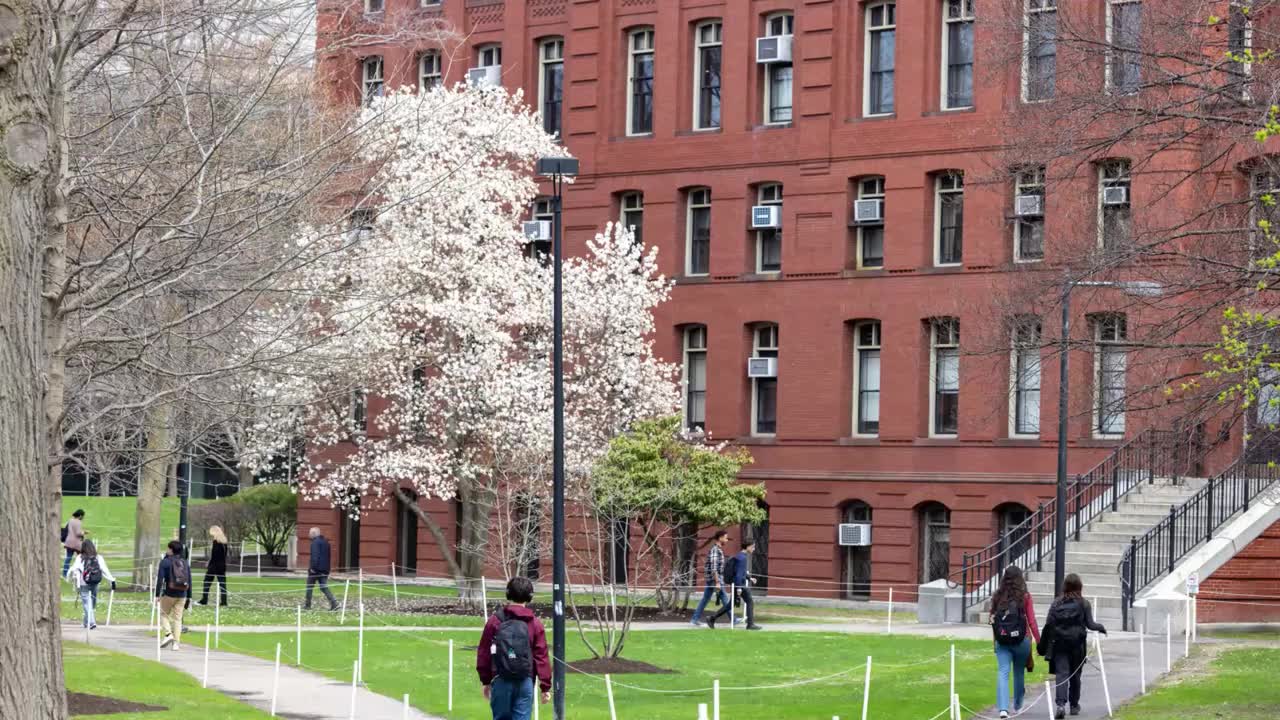 Harvard Faces Research Crisis After $2.2 Billion Federal Funding Halt