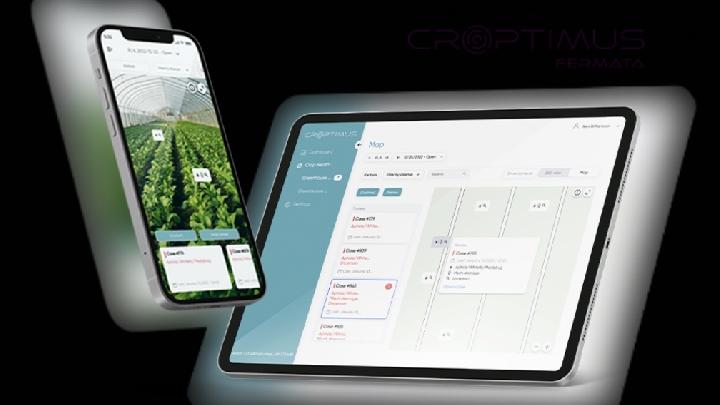 Cara Baru Deteksi Hama dengan AI, Bantu Kurangi Kerugian Petani
