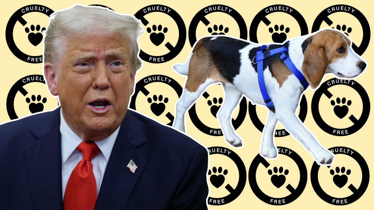 Investigating whether Trump revived a promise to end animal testing at ...