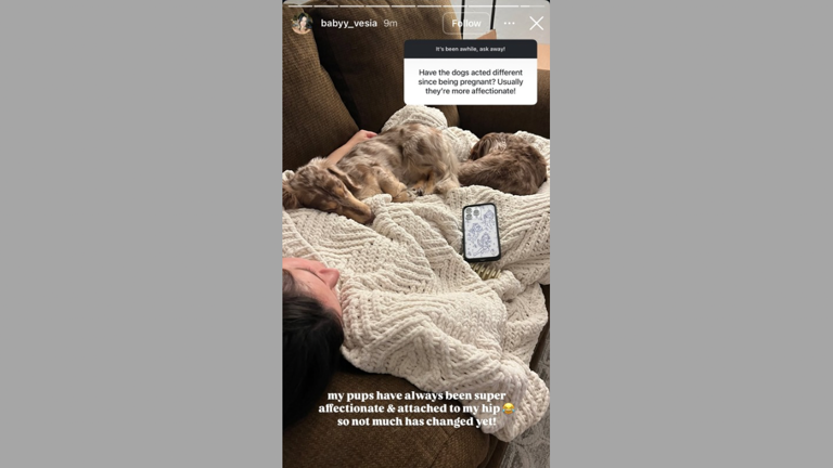 "We’re not sharing"- Dodgers’ Alex Vesia’s wife Kayla reveals why she’s not making her pregnancy ...