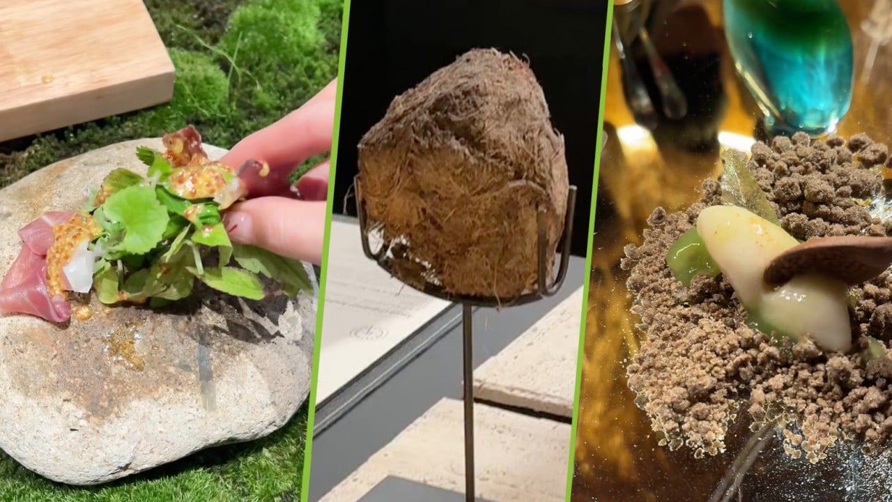 Posh China restaurant offers US$540 meals with elephant dung desserts ...