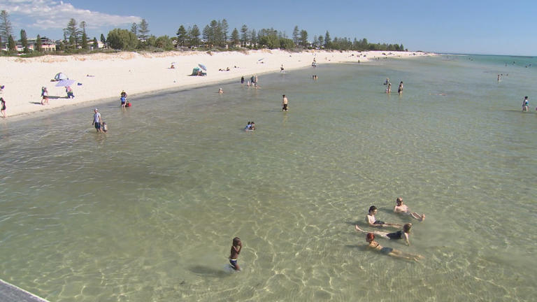 Shark sightings trigger increase in patrols at popular Adelaide beach