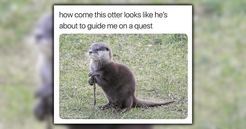 24 Animal Memes That'll Satisfy Your Silly Craving Today (April 17, 2025)