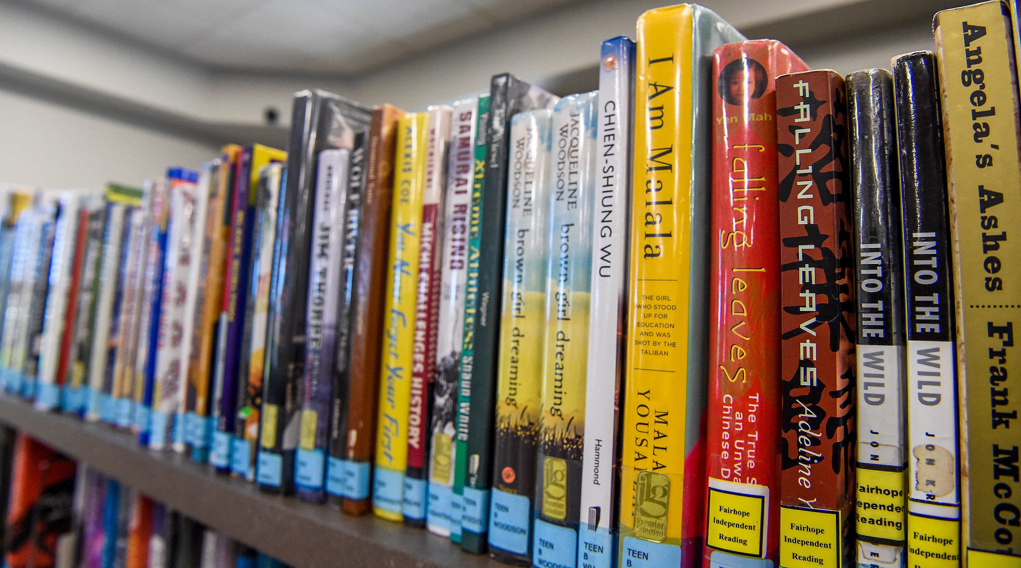 Alabama library board proposes ban on material discussing trans issues ...