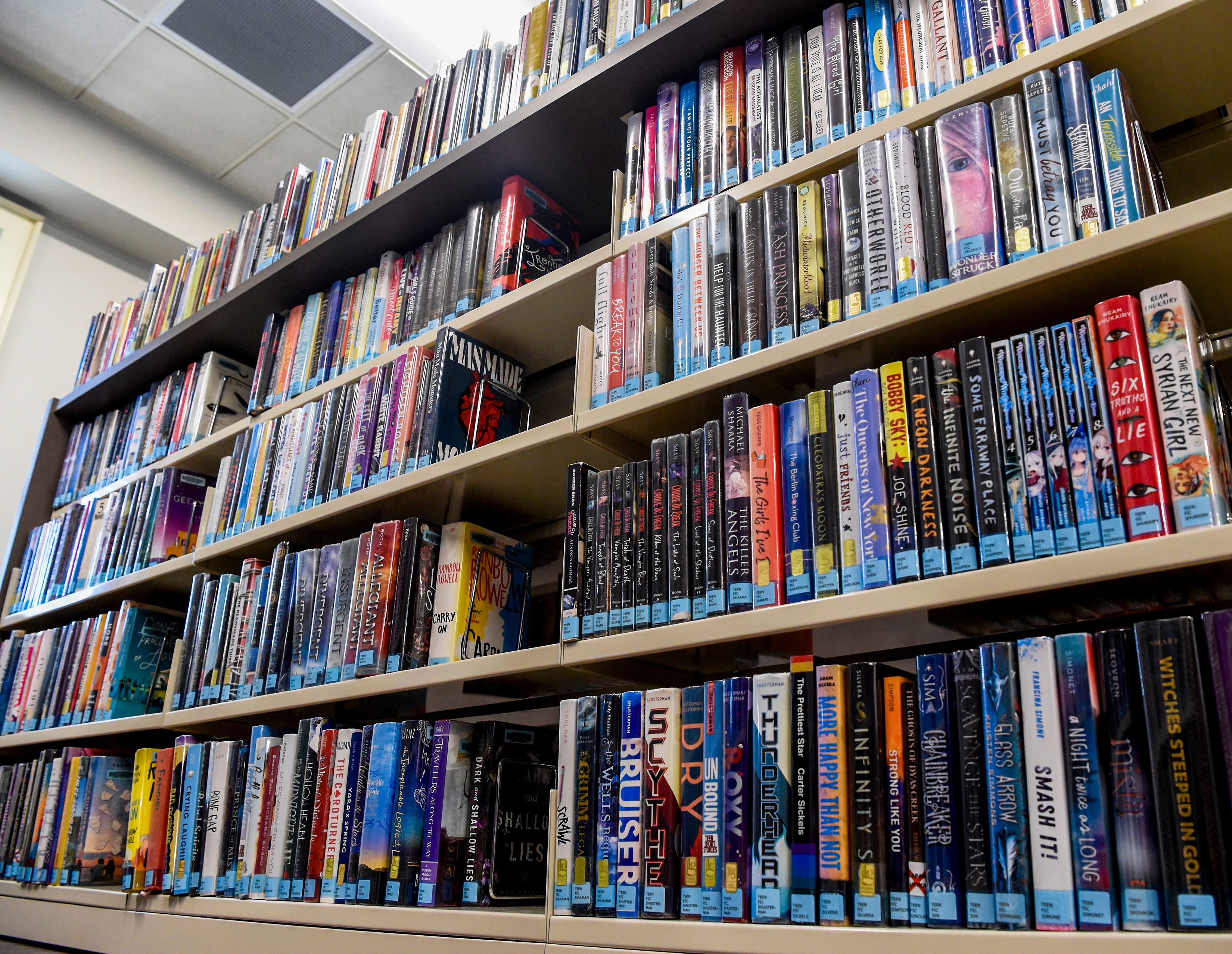 AL board to withhold library funds over ‘Handmaid’s Tale,’ other books