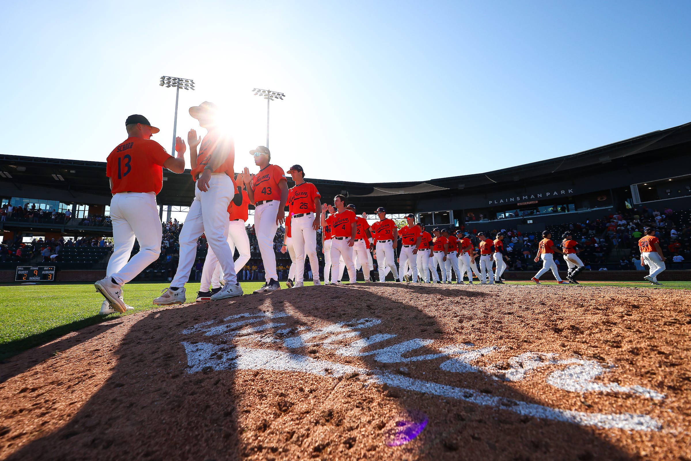 Auburn baseball: Full schedule, TV, tickets for 2025 NCAA Regional at ...