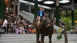 Siapa Pemilik Taman Safari? Profil Keluarga Manansang, Diduga ...