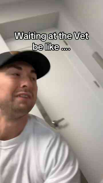 Cat's Real Reaction: Not Having It